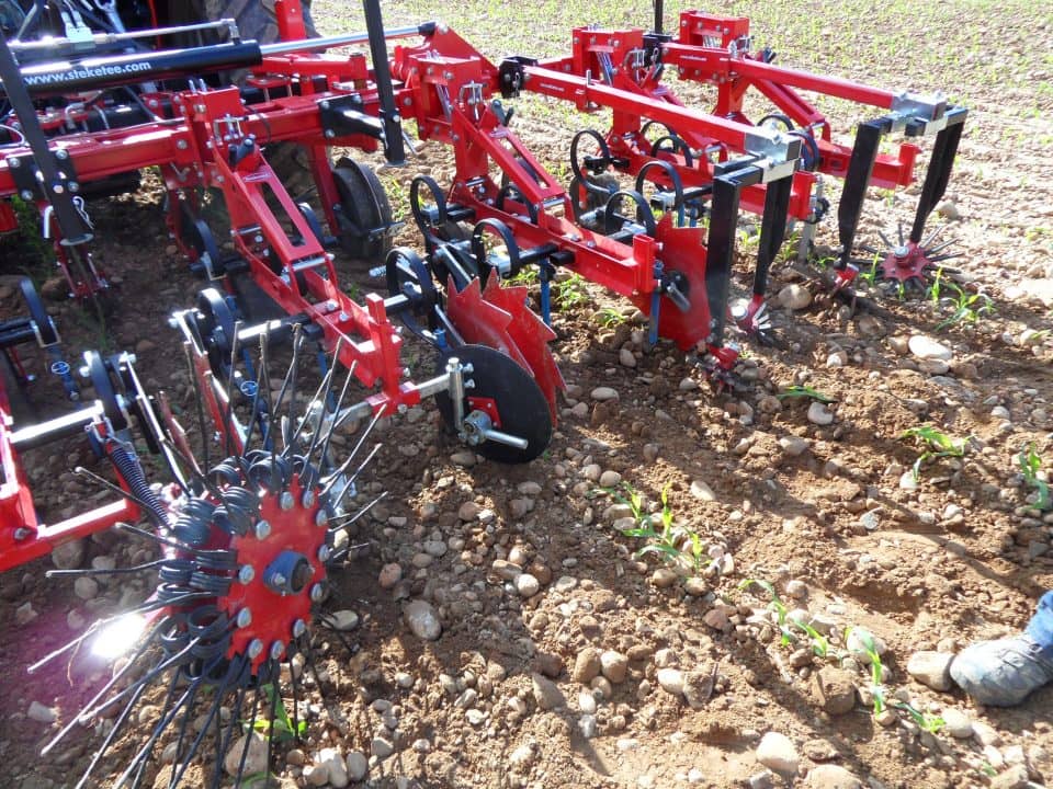 Exemples de désherbage herse etrille + houe rotative + bineuse ...