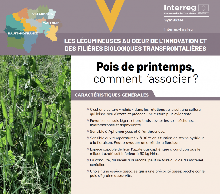 SymBIOse - Pois de printemps, comment l'associer ? (2022) - Biowallonie